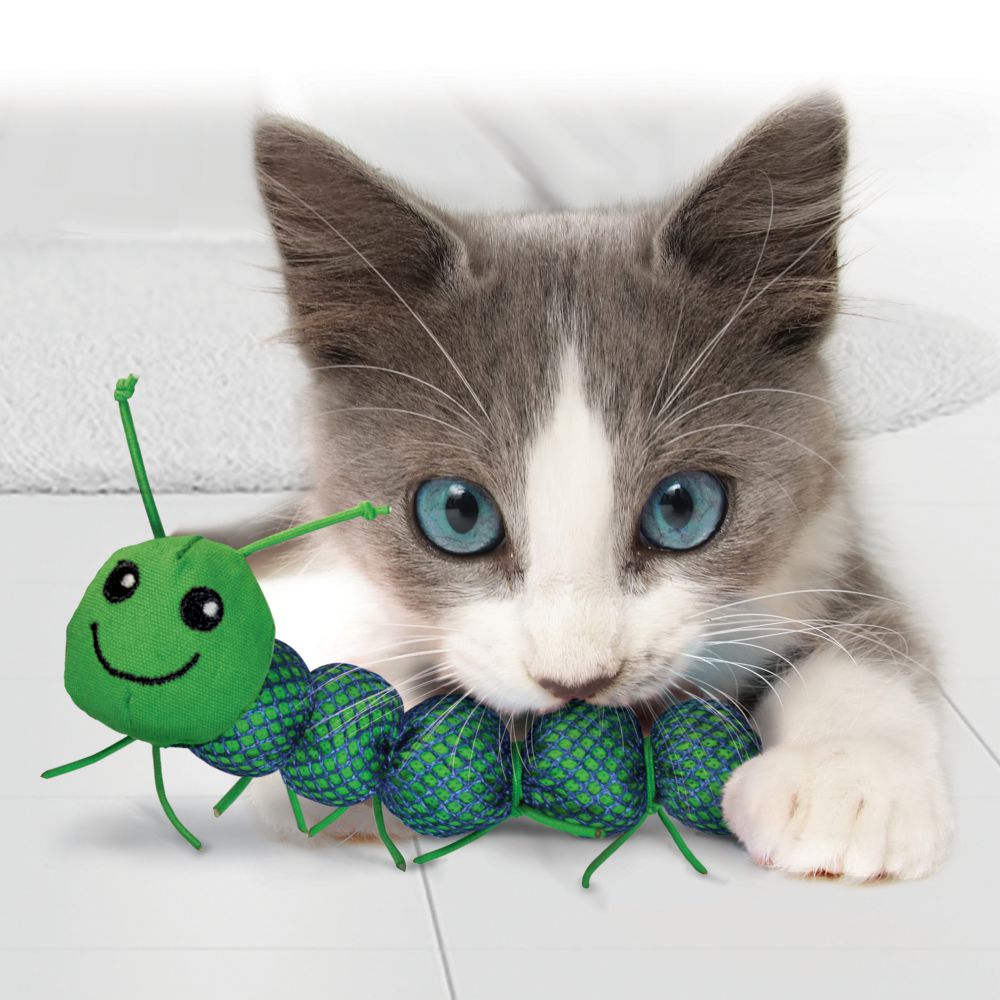 Cat & Kitten Toys for Play & Enrichment | Oz Fur Kids