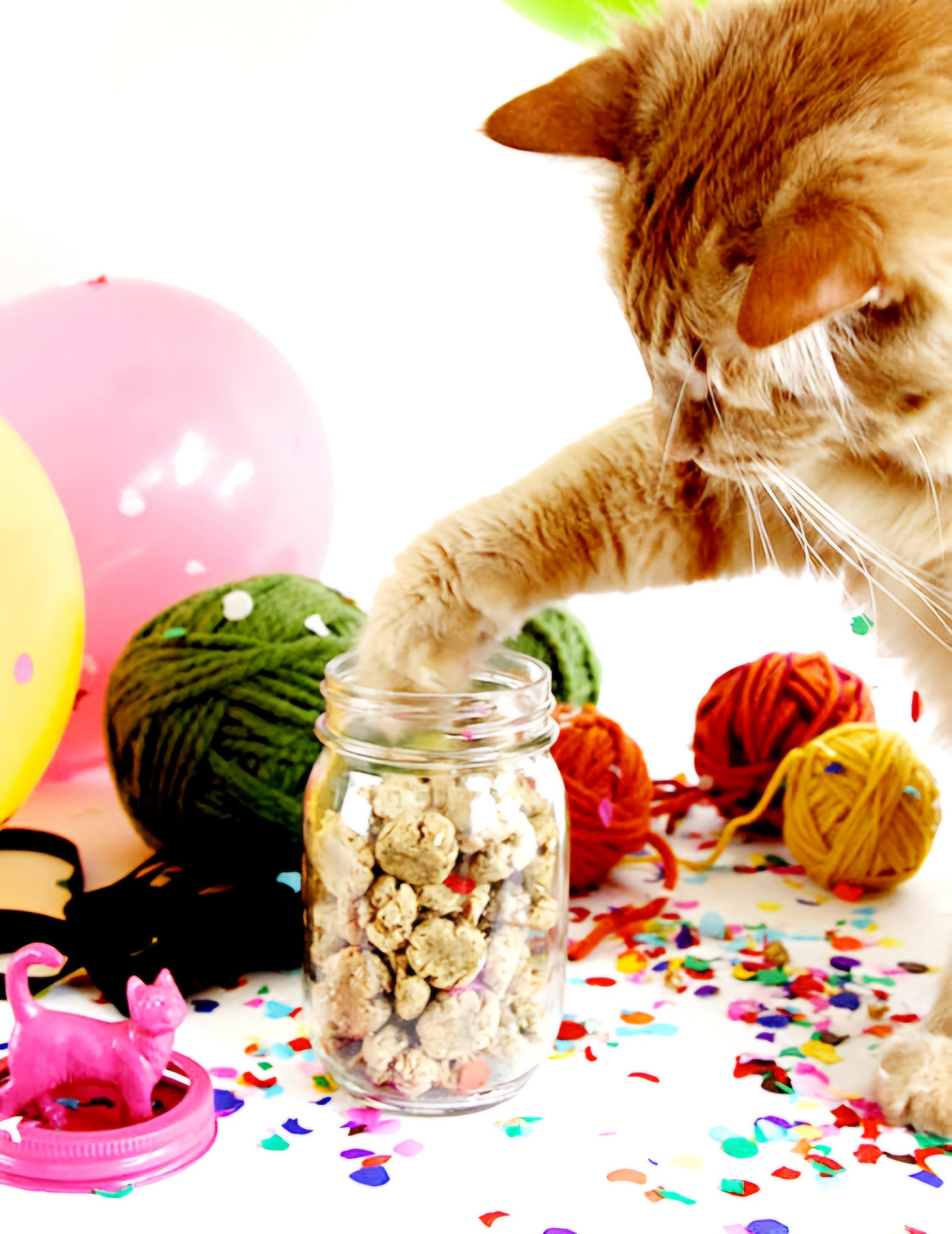 Natural Cat Treats for Kittens & Adults | Oz Fur Kids