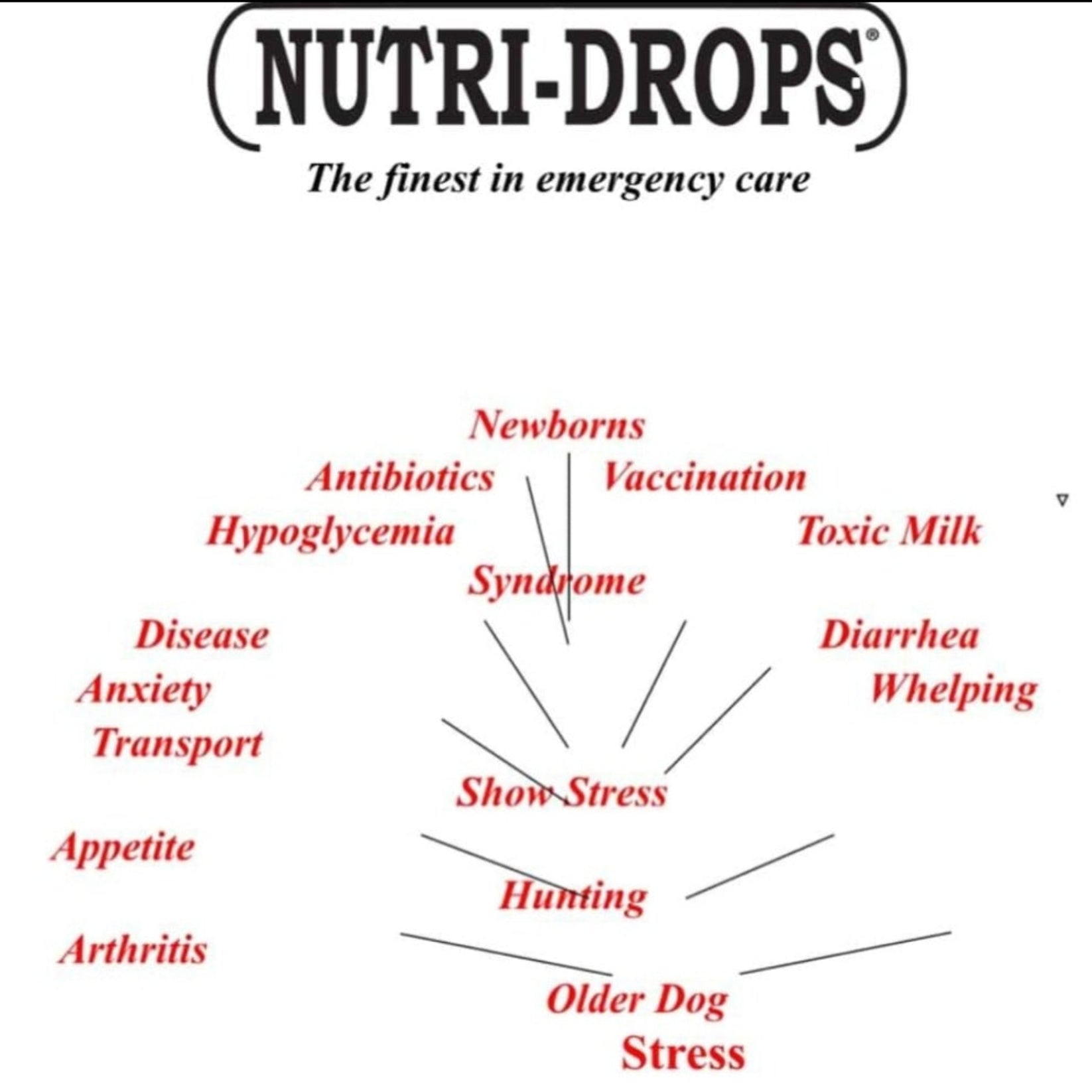 Pet Nutri-Drops for Dogs & Puppies | Oz Fur Kids